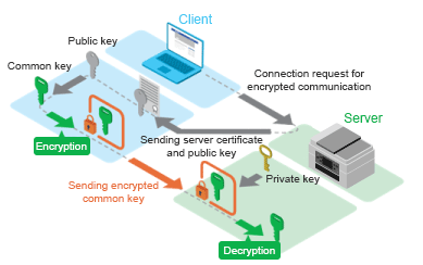 Canon : Inkjet Manuals : GX5500 series : Encrypting Communication: TLS (SSL)